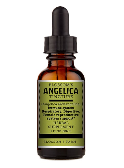 Tincture - Angelica Archangelica | Blossom's Farm